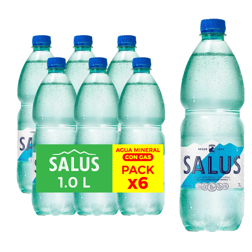 Agua Salus Con Gas 1 L (pack x6) - Dipian Distribuidora